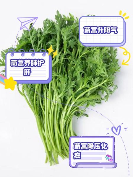 野菜蒿菜图片及名字_蒿菜和茼蒿的区别-第2张图片-山城妙识