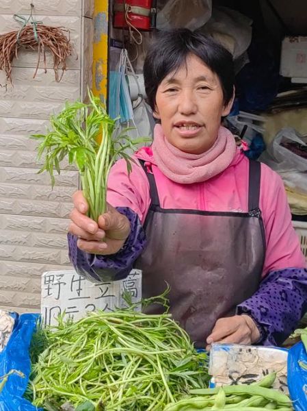 野菜蒿菜图片及名字_蒿菜和茼蒿的区别-第3张图片-山城妙识