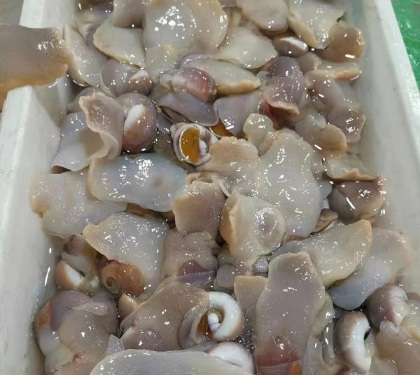 香螺怎么洗最快最干净_香螺清洗技巧-第2张图片-山城妙识