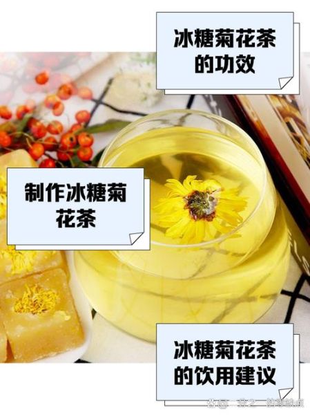 菊花冰糖的功效与作用_菊花冰糖可以天天喝吗-第1张图片-山城妙识