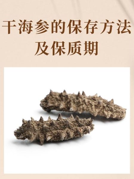 半干海参怎么保存最好_能放多久-第1张图片-山城妙识