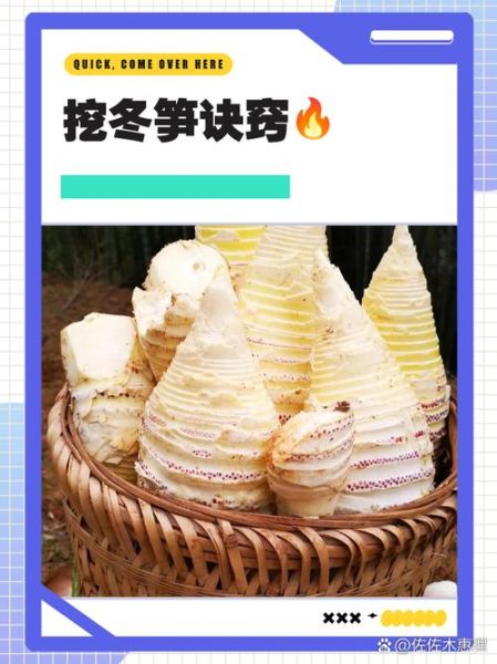 挖冬笋口诀是什么_如何找到冬笋-第1张图片-山城妙识 挖冬笋口诀是什么_如何找到冬笋-第1张图片-山城妙识