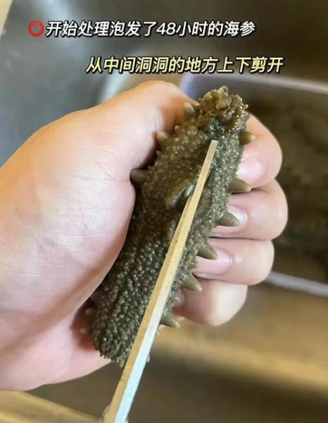 半干海参怎么保存最好_能放多久-第2张图片-山城妙识