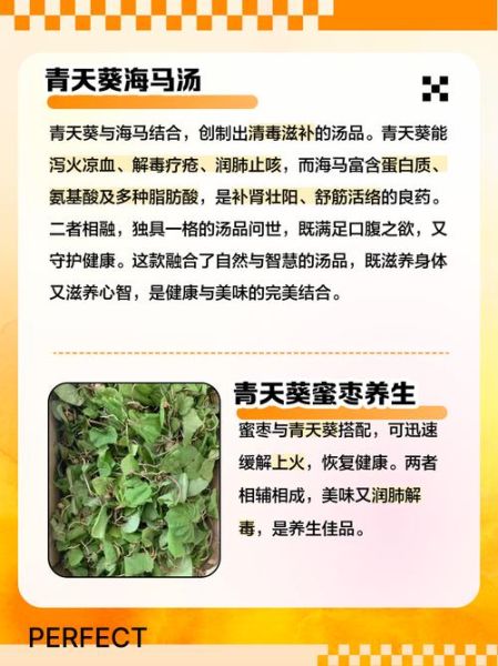天葵的功效与作用禁忌_天葵怎么吃才安全-第3张图片-山城妙识