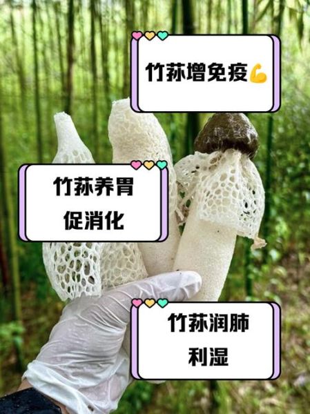 竹荪孕妇可以吃吗_竹荪孕期食用禁忌-第1张图片-山城妙识 竹荪孕妇可以吃吗_竹荪孕期食用禁忌-第1张图片-山城妙识