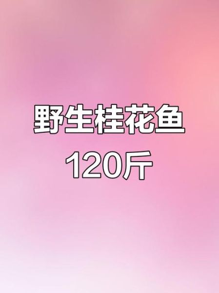 野生桂花鱼多少钱一斤_哪里能买到正宗货-第1张图片-山城妙识