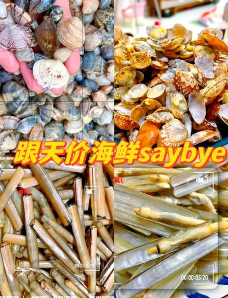 蛤蜊和花甲的区别_哪个更好吃-第3张图片-山城妙识