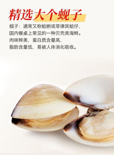 蛤蜊和花甲的区别_哪个更好吃-第2张图片-山城妙识