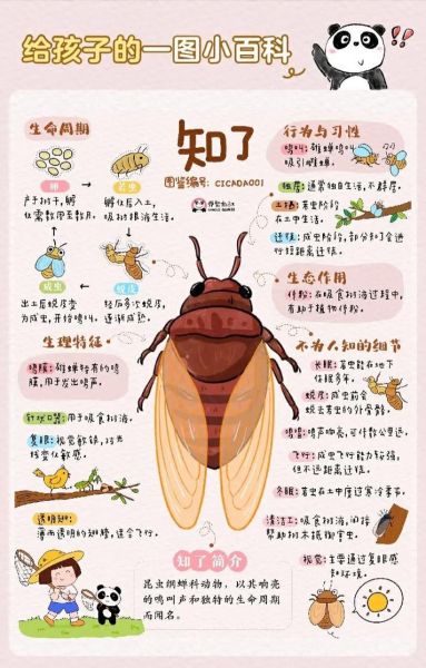 知了怎么叫_知了叫声像什么-第2张图片-山城妙识