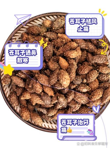 苍耳子治鼻炎偏方绝招_苍耳子怎么用效果最好-第1张图片-山城妙识 苍耳子治鼻炎偏方绝招_苍耳子怎么用效果最好-第1张图片-山城妙识