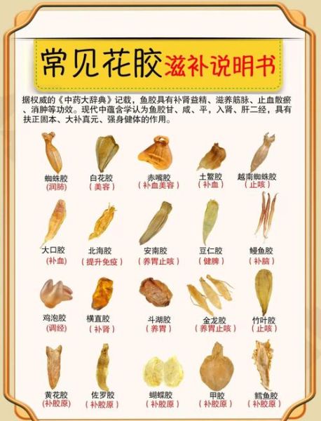 鱼胶的营养价值_鱼胶的功效与作用-第1张图片-山城妙识