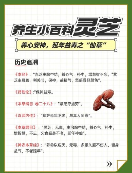 灵芝片泡水喝的功效与作用_灵芝片泡水一天喝几次-第2张图片-山城妙识 灵芝片泡水喝的功效与作用_灵芝片泡水一天喝几次-第2张图片-山城妙识