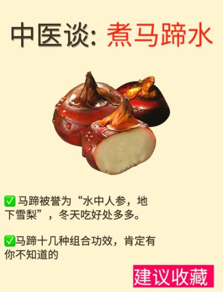 马蹄的学名是什么_马蹄学名Eleocharis dulcis有哪些功效-第1张图片-山城妙识 马蹄的学名是什么_马蹄学名Eleocharis dulcis有哪些功效-第1张图片-山城妙识