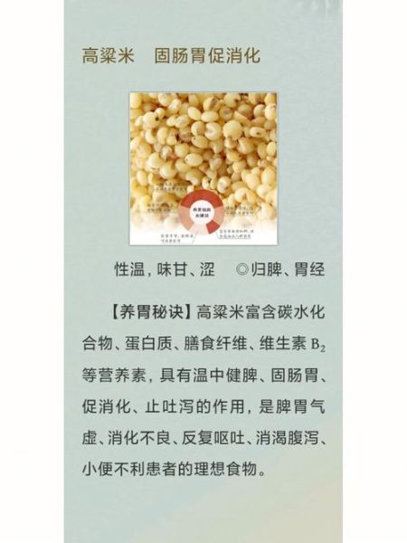高粱米的功效与作用禁忌_什么人不能吃高粱米-第1张图片-山城妙识