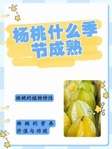 阳桃和杨桃的区别_阳桃是不是杨桃-第2张图片-山城妙识