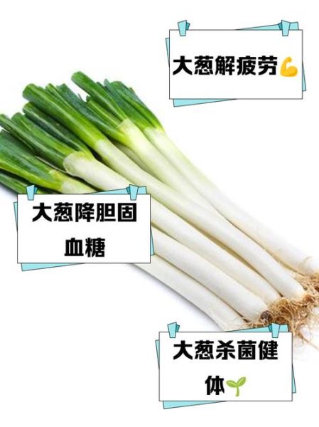 大葱补肾壮阳吗_大葱壮阳效果怎么样-第1张图片-山城妙识 大葱补肾壮阳吗_大葱壮阳效果怎么样-第1张图片-山城妙识