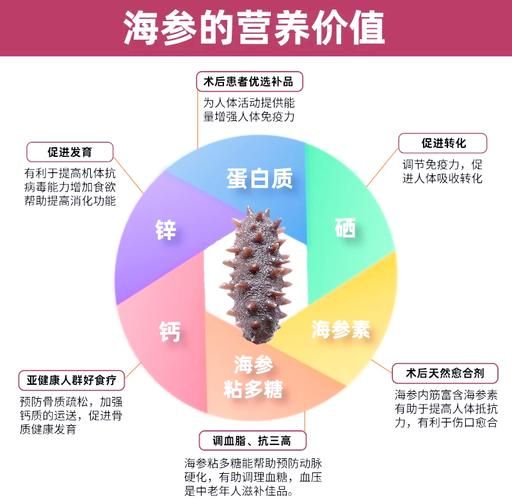 刺参和海参的区别是什么_刺参和海参哪个营养价值高-第2张图片-山城妙识