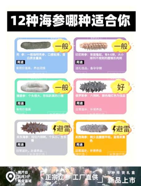 刺参和海参的区别是什么_刺参和海参哪个营养价值高-第1张图片-山城妙识