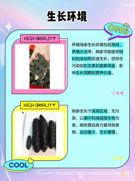 刺参和海参的区别是什么_刺参和海参哪个营养价值高-第3张图片-山城妙识