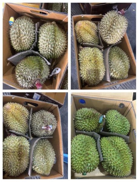 榴莲正常多少钱一斤_榴莲价格影响因素-第3张图片-山城妙识