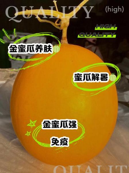 金瓜是什么瓜_金瓜怎么吃最好吃-第3张图片-山城妙识 金瓜是什么瓜_金瓜怎么吃最好吃-第3张图片-山城妙识