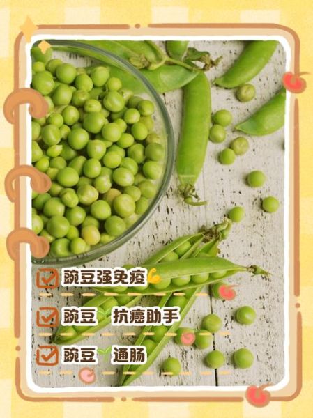 豌豆荚手机助手苹果版怎么用_豌豆荚苹果版下载安装教程-第3张图片-山城妙识 豌豆荚手机助手苹果版怎么用_豌豆荚苹果版下载安装教程-第3张图片-山城妙识