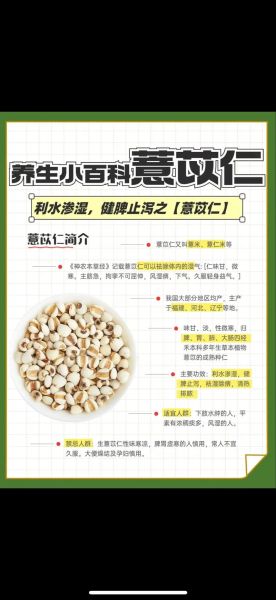薏米粥可以天天喝吗_长期喝薏米粥的副作用-第1张图片-山城妙识 薏米粥可以天天喝吗_长期喝薏米粥的副作用-第1张图片-山城妙识