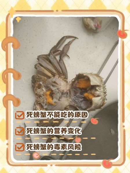 螃蟹休眠和死的区别_如何判断螃蟹是死是活-第1张图片-山城妙识 螃蟹休眠和死的区别_如何判断螃蟹是死是活-第1张图片-山城妙识