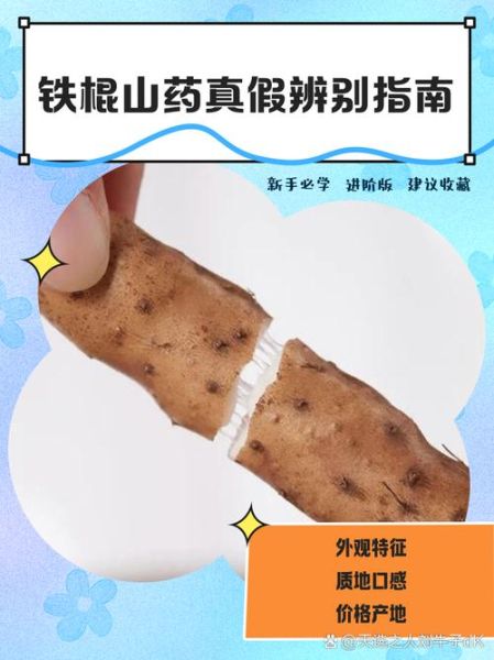 铁棍山药图片大全图解_铁棍山药真假怎么辨别-第1张图片-山城妙识