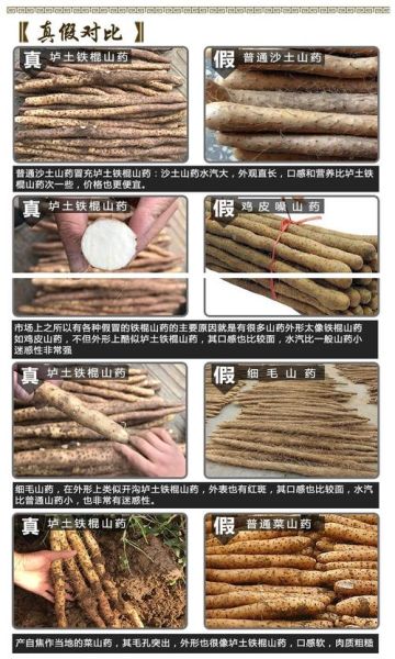 铁棍山药图片大全图解_铁棍山药真假怎么辨别-第2张图片-山城妙识