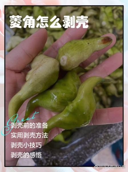 菱角怎么剥壳_新鲜菱角快速去壳技巧-第1张图片-山城妙识 菱角怎么剥壳_新鲜菱角快速去壳技巧-第1张图片-山城妙识