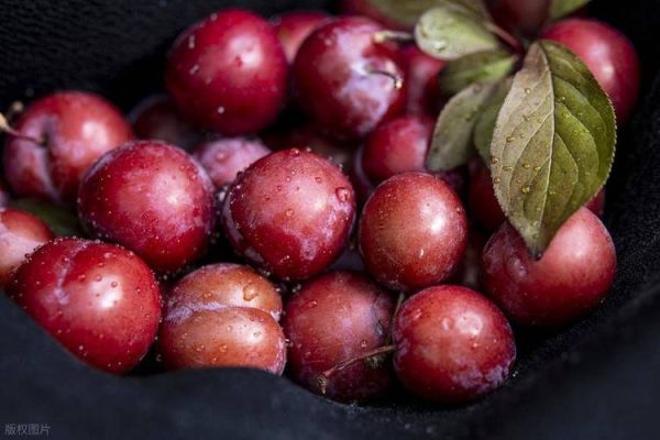 通便的水果有哪些_便秘吃什么水果最快排便-第3张图片-山城妙识 通便的水果有哪些_便秘吃什么水果最快排便-第3张图片-山城妙识