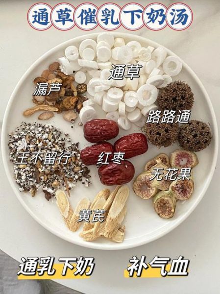 白开水煮通草下奶吗_通草煮水正确做法-第1张图片-山城妙识 白开水煮通草下奶吗_通草煮水正确做法-第1张图片-山城妙识