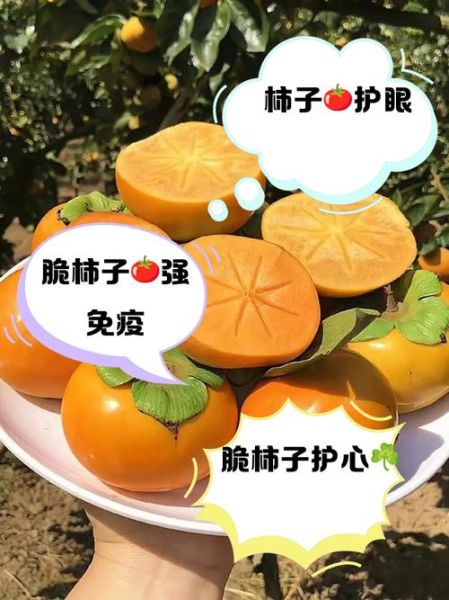 脆柿子吃了会上火吗_脆柿子的功效与作用禁忌-第3张图片-山城妙识 脆柿子吃了会上火吗_脆柿子的功效与作用禁忌-第3张图片-山城妙识