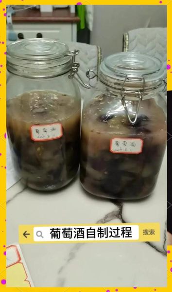 自制葡萄酒的正确方法_家庭酿酒详细步骤视频-第3张图片-山城妙识