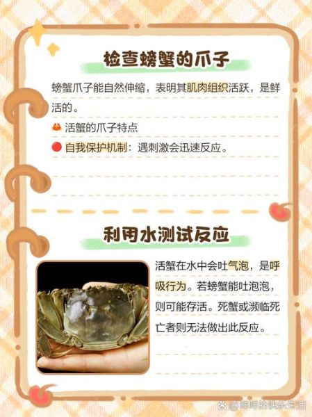 绑好的螃蟹需要解开清洗吗_蒸之前要不要松绑-第3张图片-山城妙识