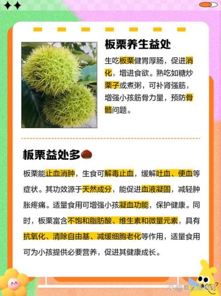 板栗怎么做好吃_吃板栗有什么好处-第1张图片-山城妙识 板栗怎么做好吃_吃板栗有什么好处-第1张图片-山城妙识