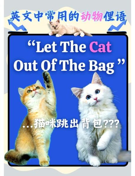 how_to_take_care_of_a_cat_what_do_cats_eat-第1张图片-山城妙识 how_to_take_care_of_a_cat_what_do_cats_eat-第1张图片-山城妙识