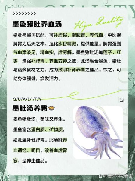 墨鱼猪肚汤怎么煲_墨鱼猪肚汤的做法窍门-第3张图片-山城妙识 墨鱼猪肚汤怎么煲_墨鱼猪肚汤的做法窍门-第3张图片-山城妙识