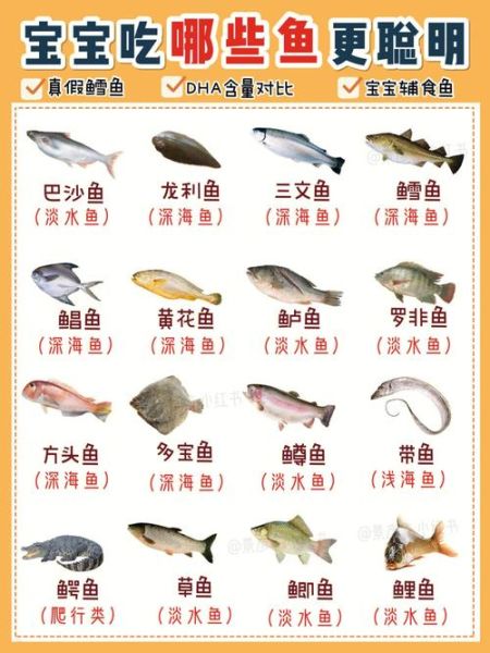 孕妇不能吃什么鱼_孕期哪些鱼含汞高-第2张图片-山城妙识 孕妇不能吃什么鱼_孕期哪些鱼含汞高-第2张图片-山城妙识