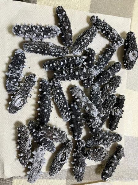 干海参发白是发霉了吗_还能不能吃-第2张图片-山城妙识 干海参发白是发霉了吗_还能不能吃-第2张图片-山城妙识