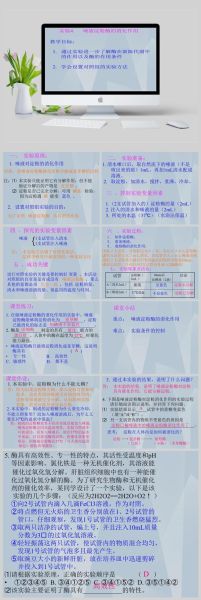 淀粉酶是什么_淀粉酶的作用有哪些-第1张图片-山城妙识 淀粉酶是什么_淀粉酶的作用有哪些-第1张图片-山城妙识