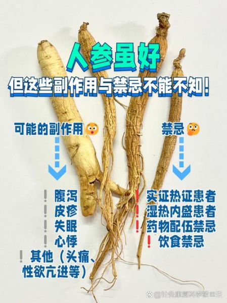 人参禁忌人群有哪些_十一类人不适宜吃人参-第3张图片-山城妙识 人参禁忌人群有哪些_十一类人不适宜吃人参-第3张图片-山城妙识