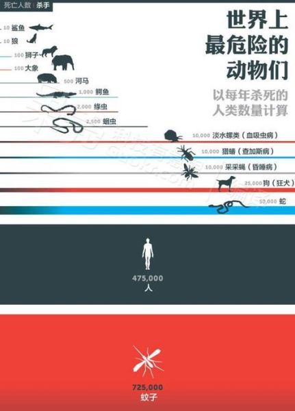 熊掌为什么只能吃左手_民间传说与科学真相-第1张图片-山城妙识 熊掌为什么只能吃左手_民间传说与科学真相-第1张图片-山城妙识