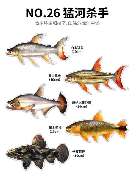 黄金猛鱼能长多大_黄金猛鱼怎么养-第2张图片-山城妙识 黄金猛鱼能长多大_黄金猛鱼怎么养-第2张图片-山城妙识