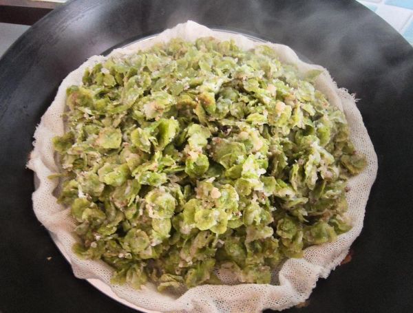 蒸榆钱的功效与作用_蒸榆钱怎么做才好吃-第3张图片-山城妙识