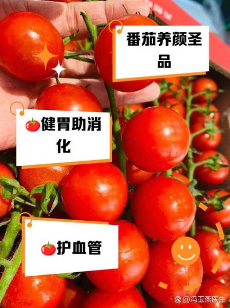 西红柿怎么挑选_西红柿的营养价值-第3张图片-山城妙识 西红柿怎么挑选_西红柿的营养价值-第3张图片-山城妙识