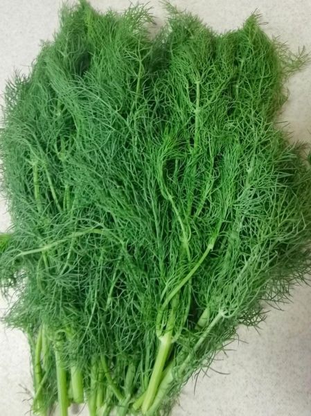 茴香鸡蛋饺子怎么调馅_茴香鸡蛋饺子馅要不要焯水-第2张图片-山城妙识