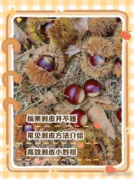 生板栗怎么去皮最快又干净_生板栗去皮小妙招-第1张图片-山城妙识 生板栗怎么去皮最快又干净_生板栗去皮小妙招-第1张图片-山城妙识