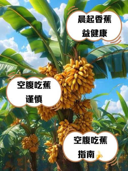 空腹吃香蕉好吗_空腹吃香蕉的坏处-第1张图片-山城妙识